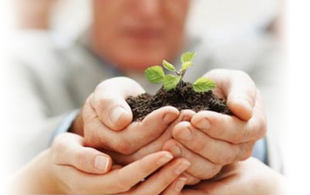 Noospheric | Santa Barbara Startup Consulting Agency